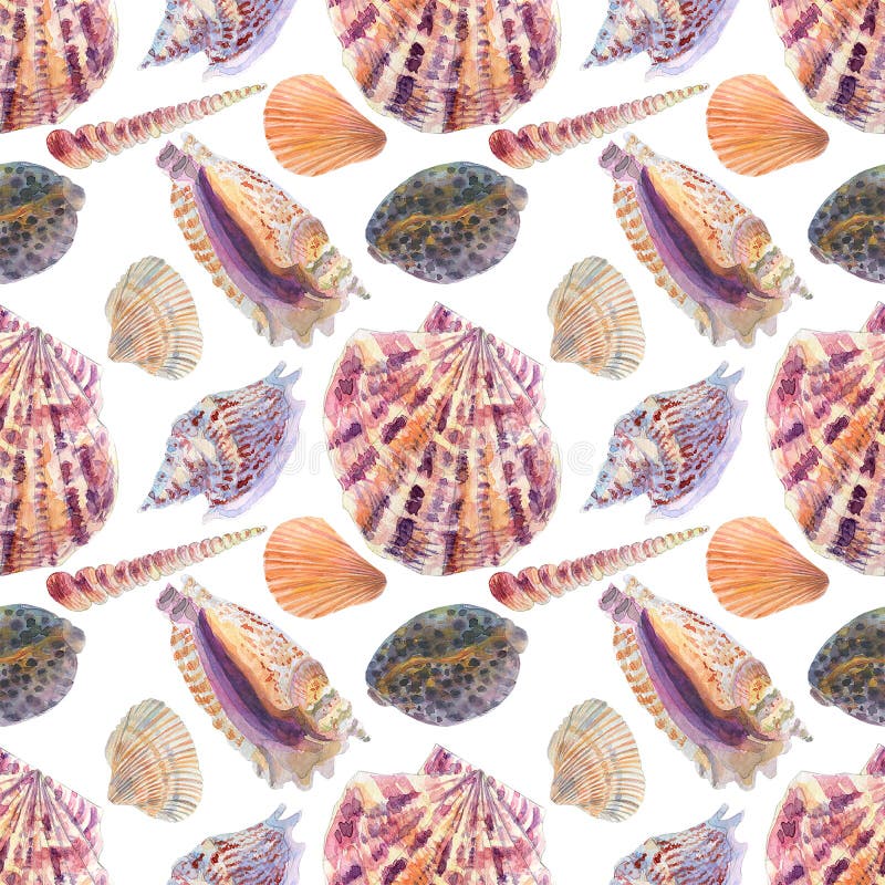 Seashell Clip Art Stock Illustrations – 1,132 Seashell Clip Art Stock ...