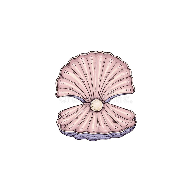 Seashell Nacre Stock Illustrations – 480 Seashell Nacre Stock ...