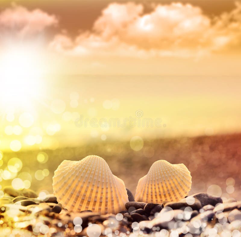 Pebbles beach stock photo. Image of beach, beauty, landscape - 6521646 Pebbles beach stock photo. Image of beach, beauty, landscape - 6521646
