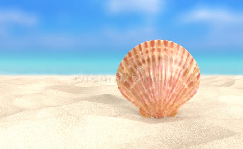 Seashell Resting on Sandy Beach by the Ocean. Stock Illustration ...