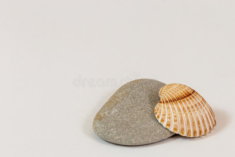 Seashell and the Rock in Love Stock Image - Image of rock, natural ...