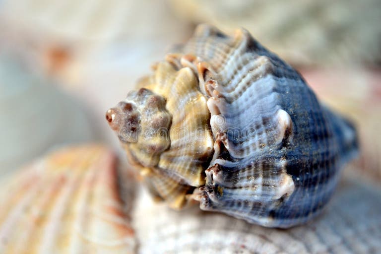 Sacred Geometry Beach Stock Photos - Free & Royalty-Free Stock Photos ...
