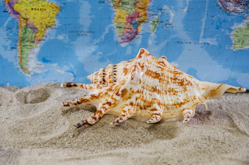 Seashell in the Sand on a Background of the World Map Stock Photo ...
