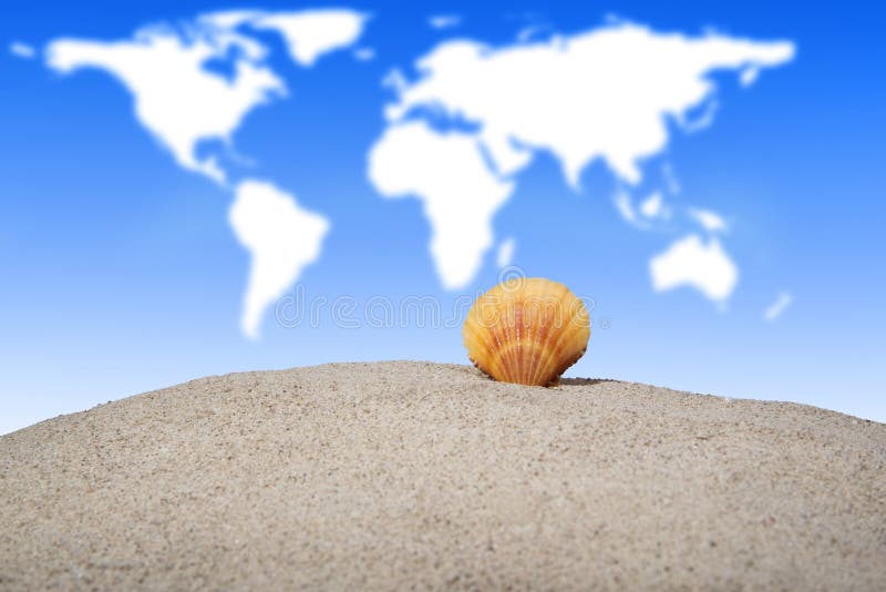 Seashell on the Sandy Beach Stock Image - Image of cockleshell ...
