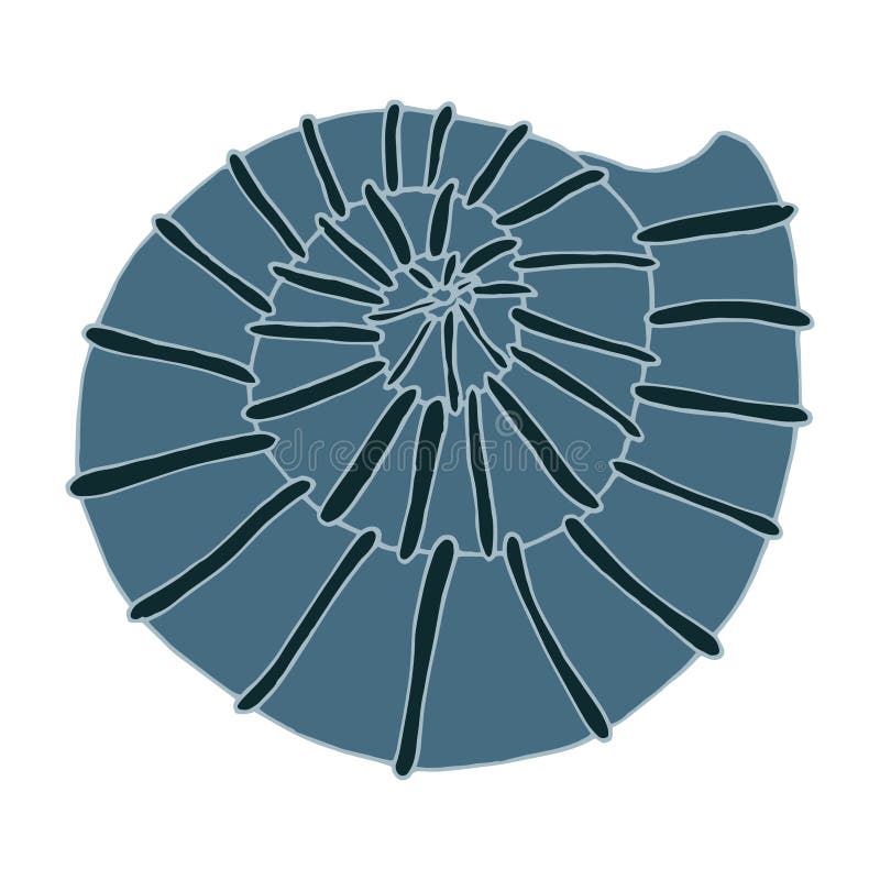 Seashell Sea Vector Isolated Hand Drawing Sketch Blue Stock Vector ...