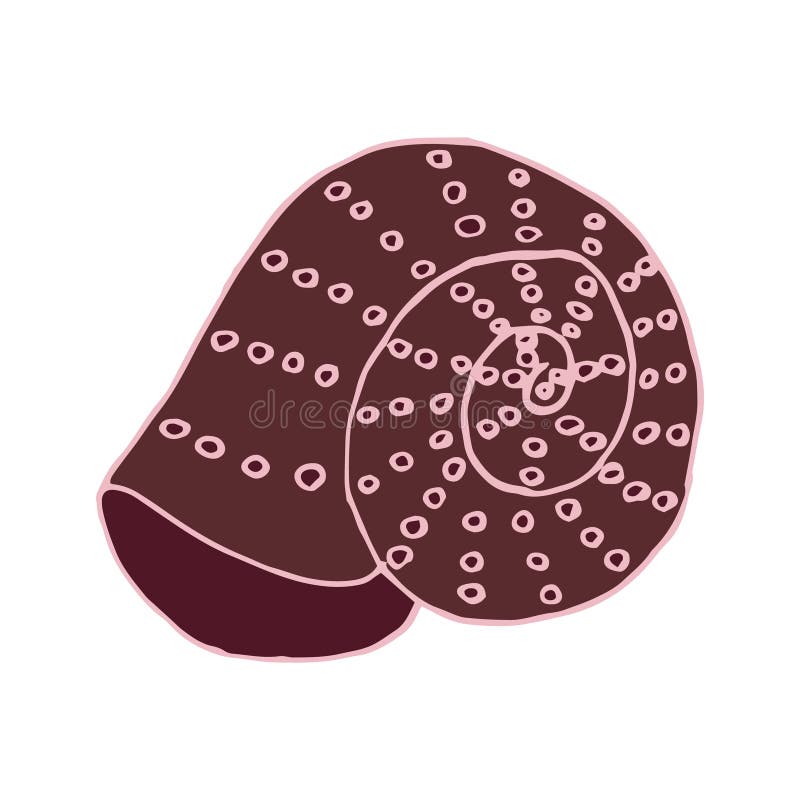 Seashell Sea Vector Isolated Hand Drawing Sketch Pink Stock Vector ...