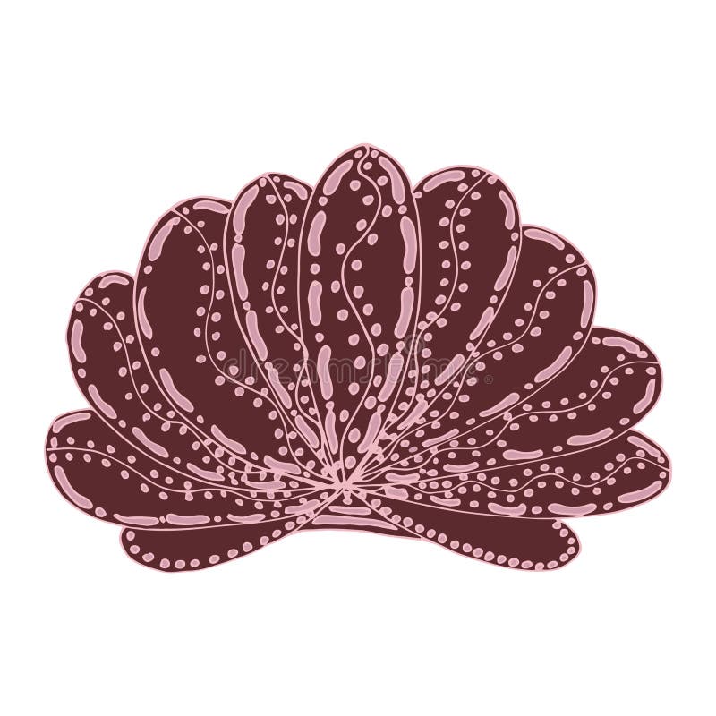 Seashell Sea Vector Isolated Hand Drawing Sketch Pink Stock Vector ...