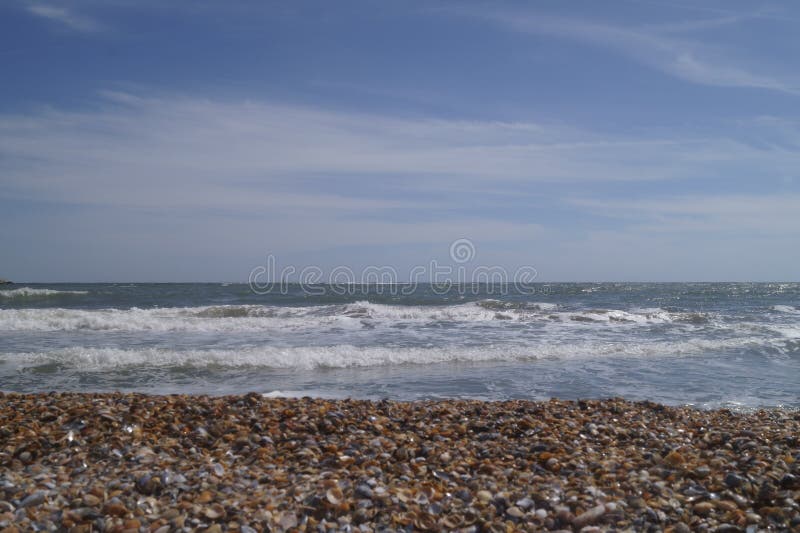 Seashell and sea waves stock photo. Image of snail, beauty - 118726764