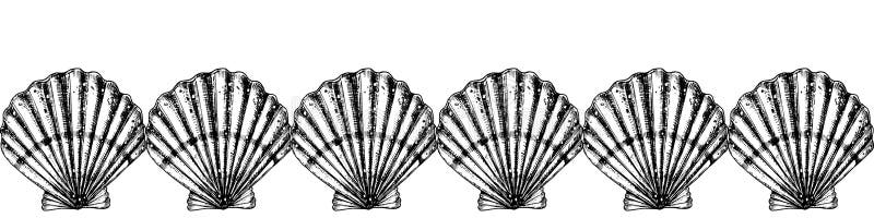 Seashell Outline Border