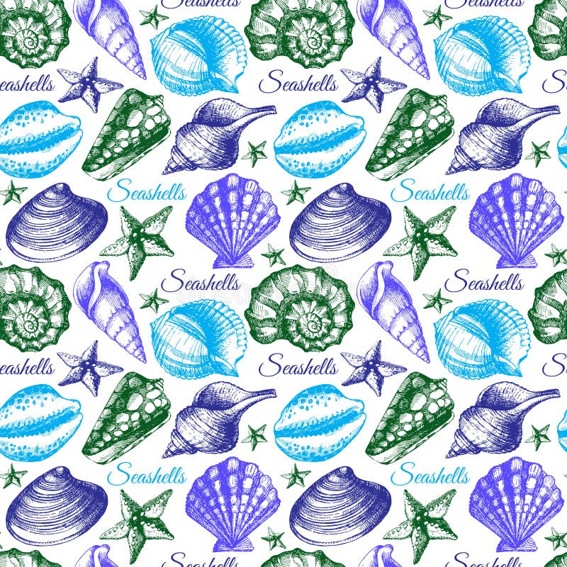 Seashell Seamless Pattern. Hand Drawn Sketch Illustration Stock ...