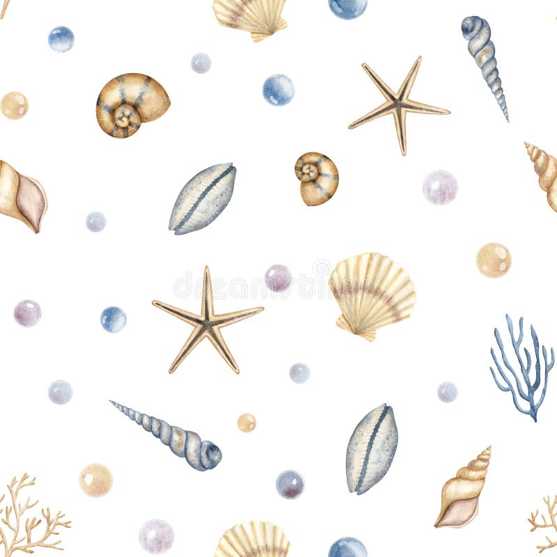 Irregular Shells Stock Illustrations – 33 Irregular Shells Stock ...