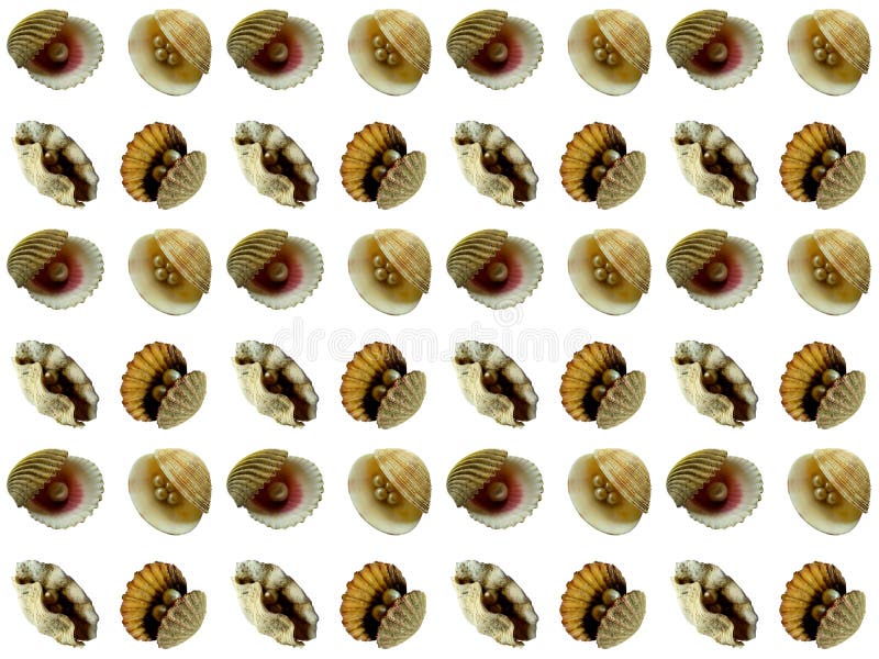 Seashell Seamless Pattern. Watercolor Hand Drawn Illustration with ...