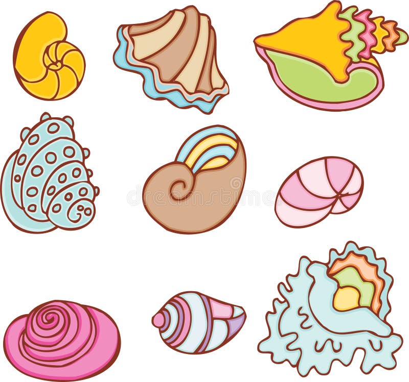 Set of Seashells stock vector. Illustration of marine - 9265292