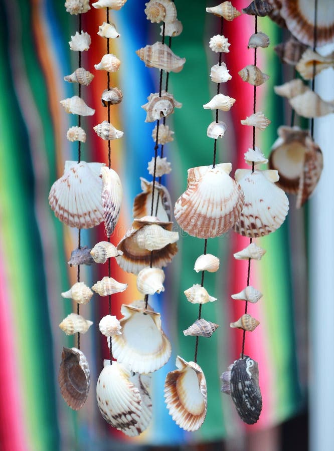 Seashell stock photo. Image of natural, shades, concept - 40675366