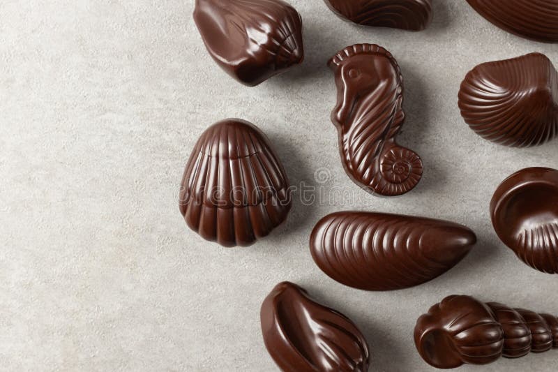 Seashell-shaped Belgian Seashells Chocolates Stock Image - Image of ...