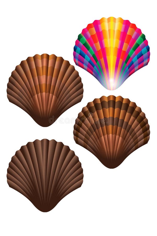 Seashell stock vector. Illustration of holiday, summer - 93889064