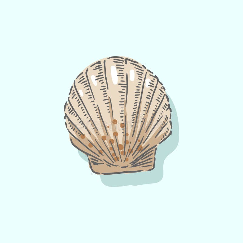 Seashell, Shell, Sea, Mollusk, Shellfish, Nautical Illustration Stock ...
