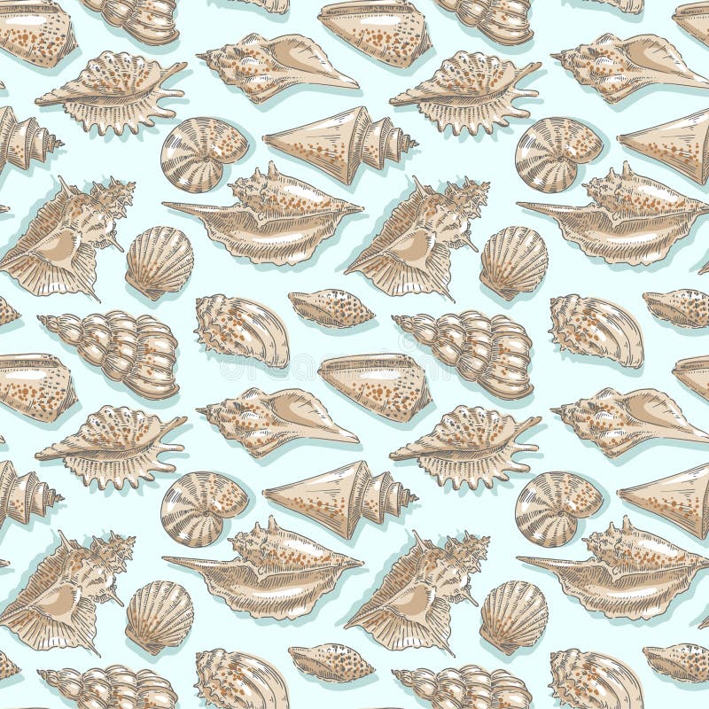 Seashell, Shell, Sea, Mollusk, Shellfish, Nautical Seamless Pattern ...