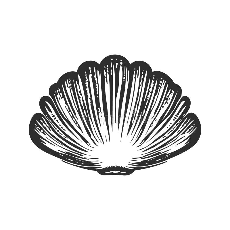 Seashell Silhouette Illustration. Nautical and Coastal Design Element ...