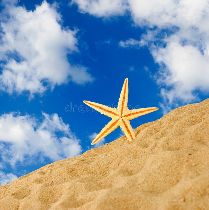 Seashell on sky background stock image. Image of sand - 56874543