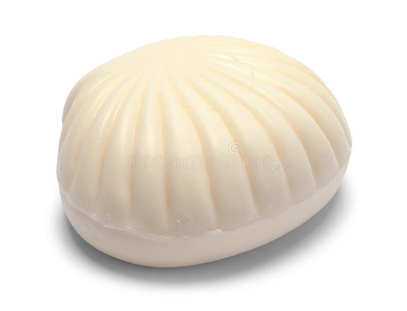 Seashell Soap stock photo. Image of front, small, shell - 292047430