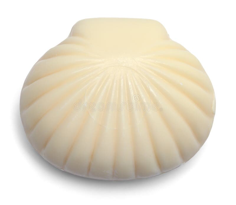 Seashell Soap Top View stock photo. Image of shell, small - 273788108