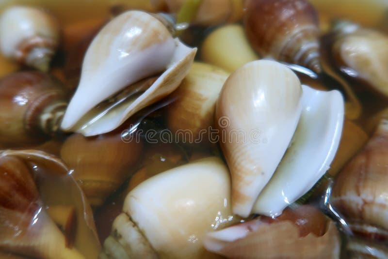 Aninikad Stock Photos - Free & Royalty-Free Stock Photos from Dreamstime