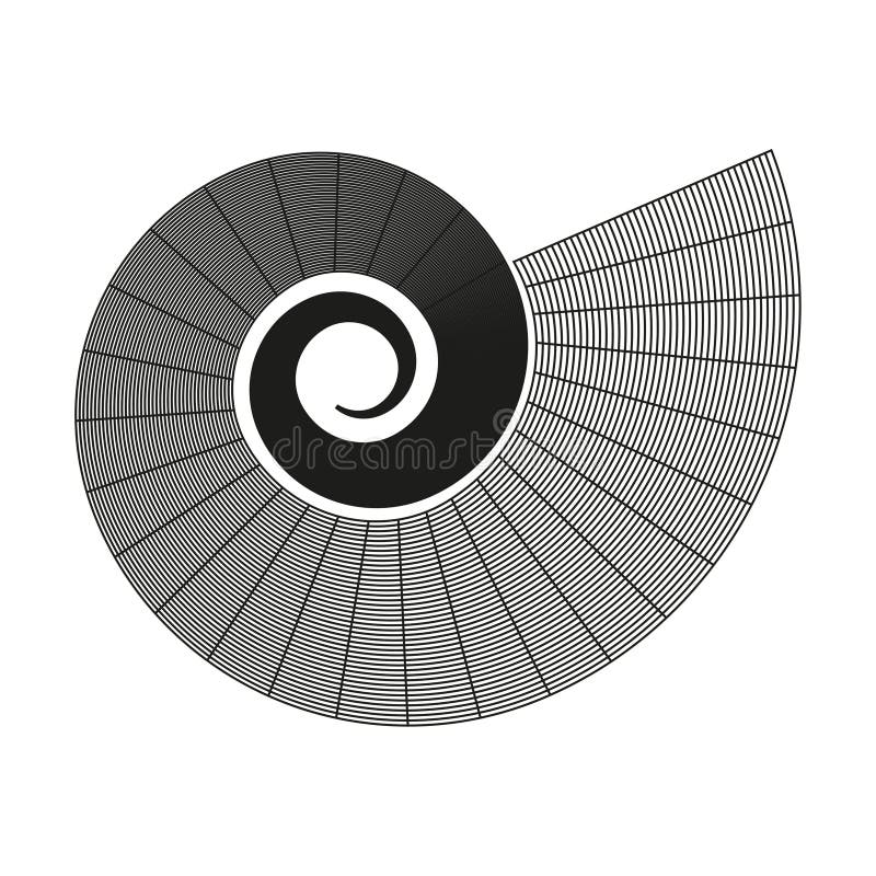 Seashell Spiral Shape. Conch Shell Outline. Nautical Element Vector ...