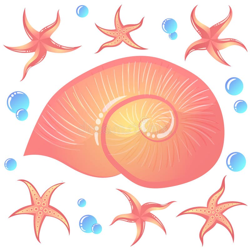 Seashell and Starfish Set. Vector Marine Collection. Stock Vector ...