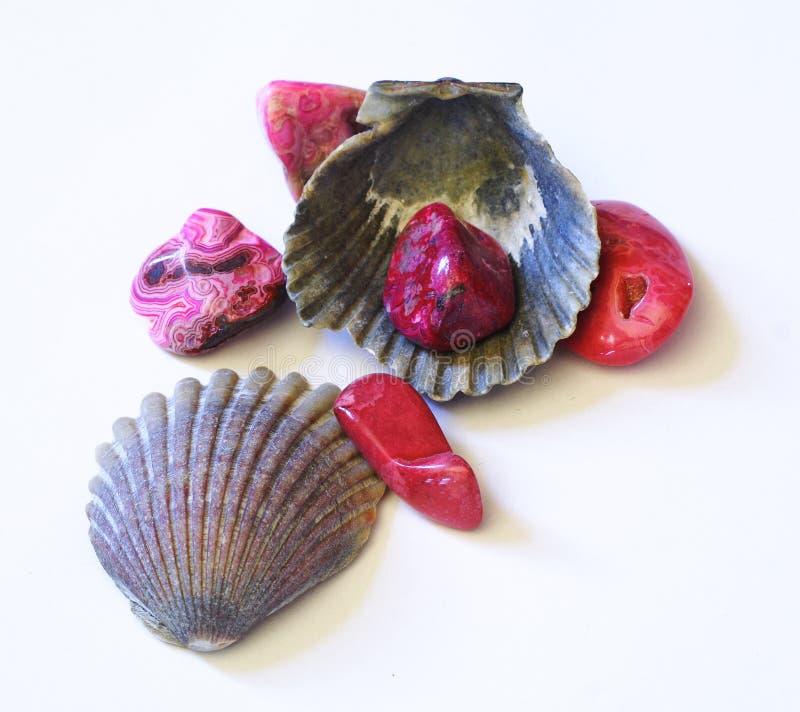 6,625 Seashell Stones Stock Photos - Free & Royalty-Free Stock Photos ...