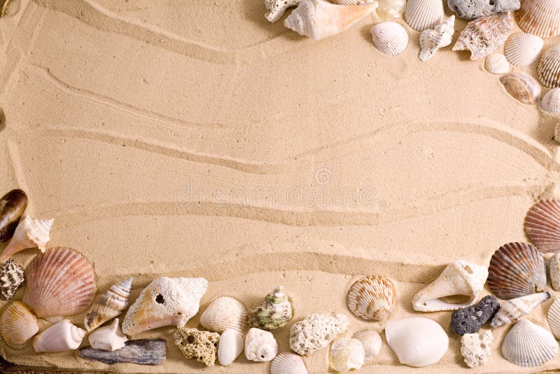 Seashell-Strand-Feld stockfoto. Bild von paradies, warm - 19964228