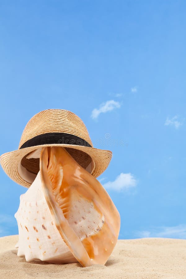 Seashell with straw hat stock photo. Image of recreation - 56073390