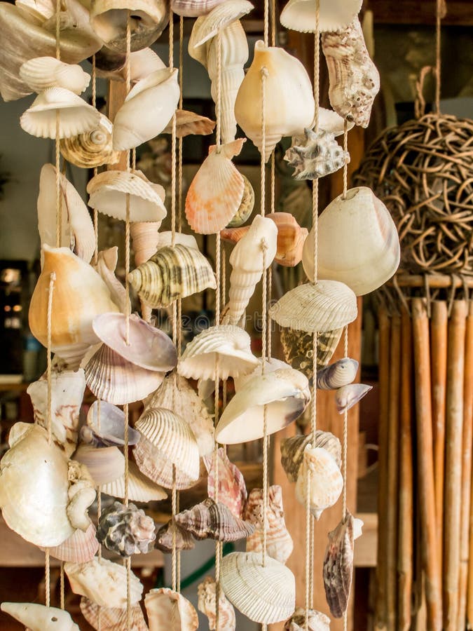 Seashell string curtain stock image. Image of shell, decorative - 44903789