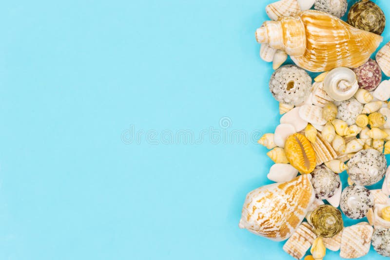 Seashell on the Summer Beach in Sea Water. Summer Background. Summer ...