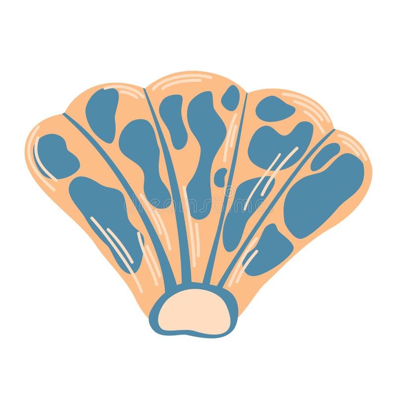 Seashell. Summer Vacation, Tropical Beach Shells Stock Vector ...