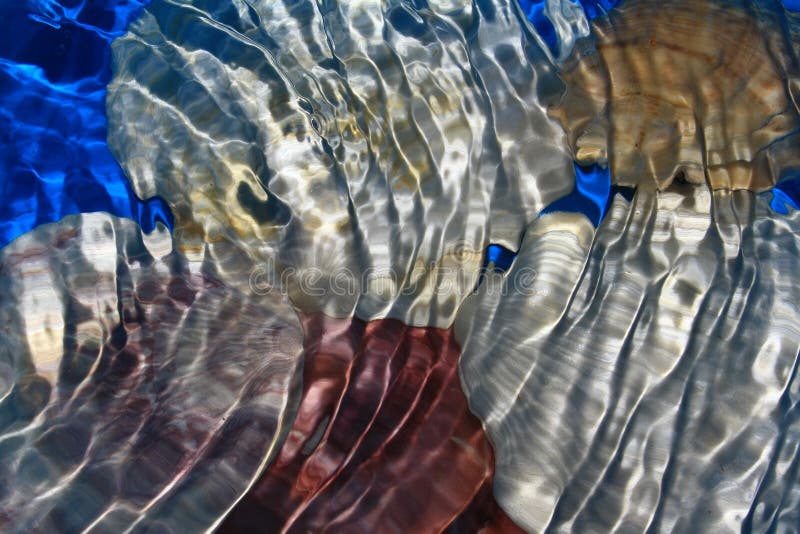 Seashell under water stock image. Image of marine, wave - 67551115