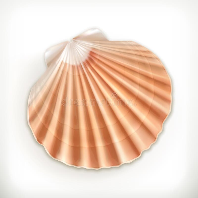 Seashell, vector icon stock vector. Illustration of conch - 58917391