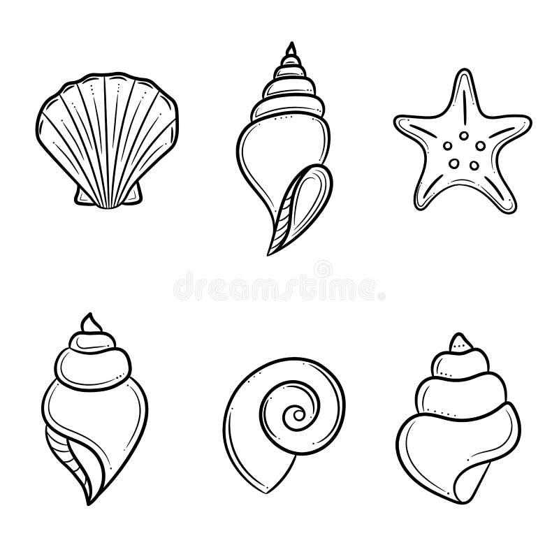 Illustrated Seashell Stock Illustrations – 104 Illustrated Seashell ...