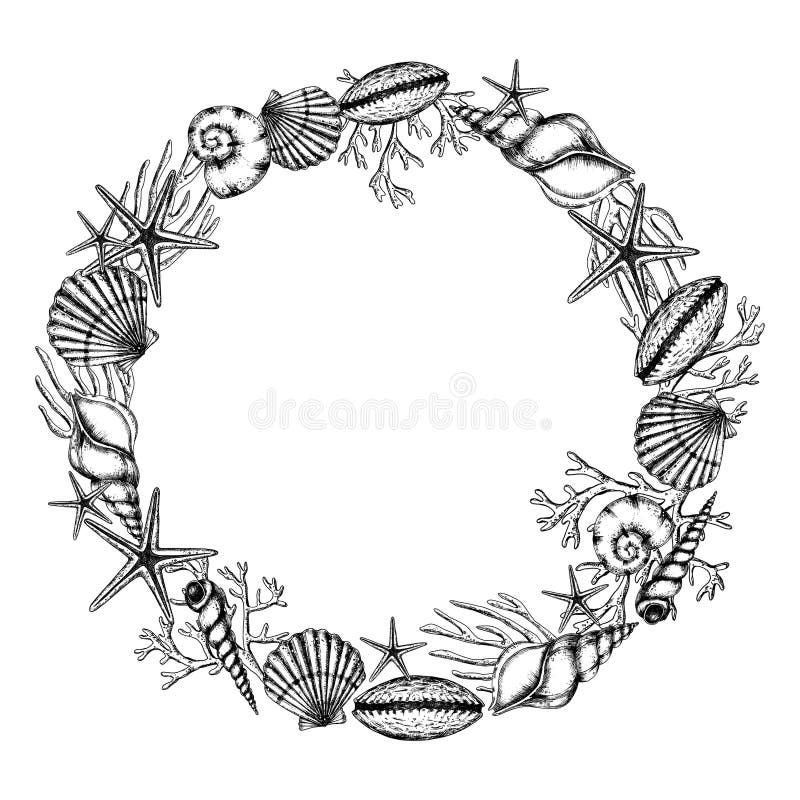 Seashell Vector Wreath on Isolated Background. Hand Drawn Illustration ...