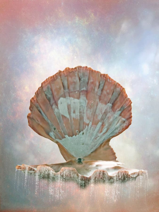 The Seashell Waiting for the Mermaid Stock Illustration - Illustration ...