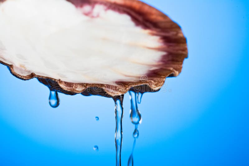 Pouring Water stock photo. Image of flowing, fluid, stream - 2918276