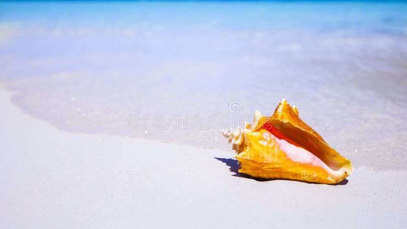 Fresh Clean White Water Ocean Wave Splash Stock Photo - Image of erupts ...