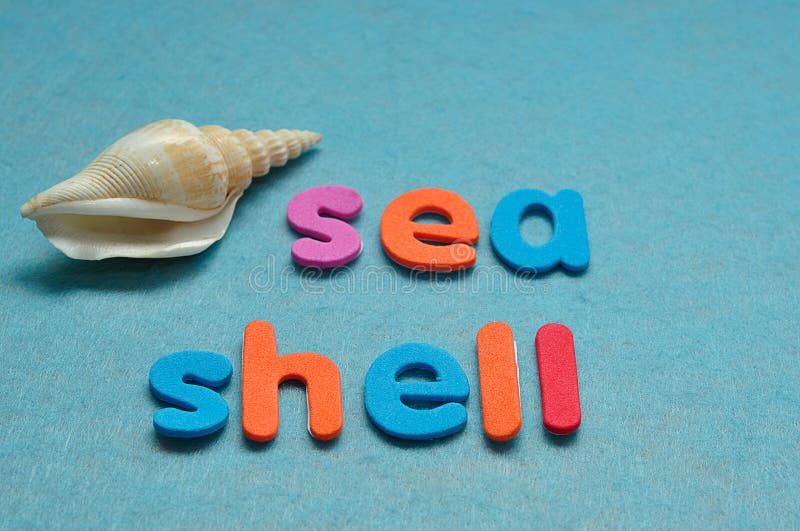 A Seashell With The Word Sea Shell Stock Image - Image of marine, shell ...