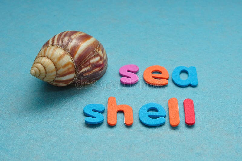 A Seashell with the Word Sea Shell Stock Image - Image of wildlife ...