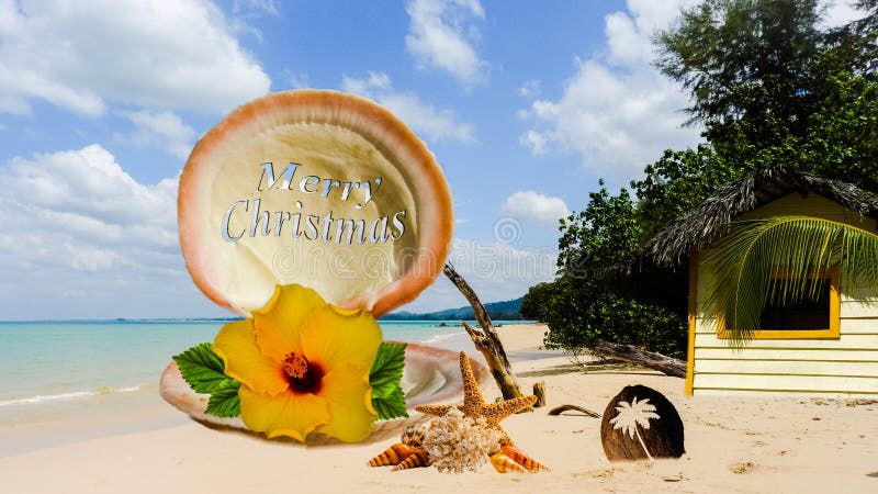 Seashell with Writing on the Stand Stock Photo - Image of site, broken ...