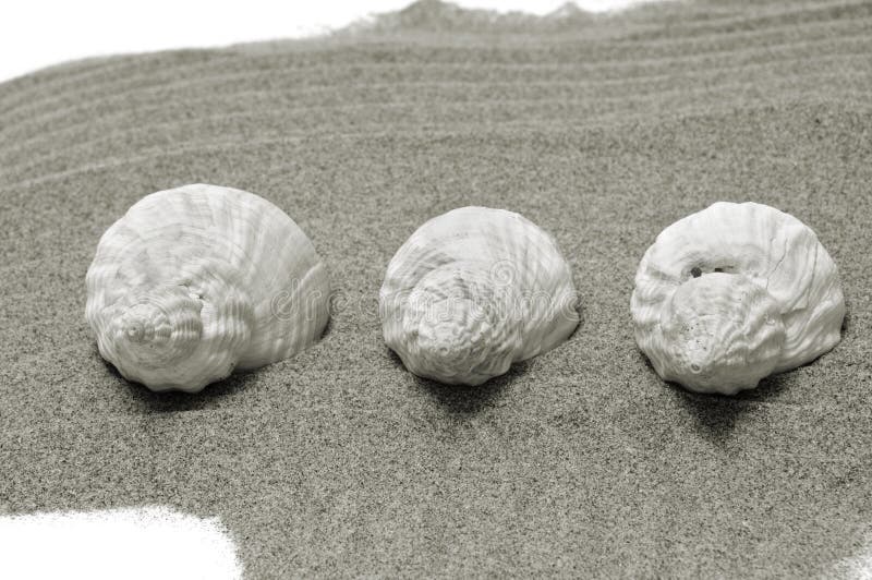 Oil Spill stock image. Image of leak, problem, shell, nature - 6553919