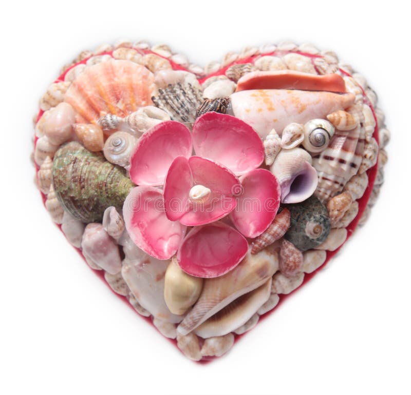 Heart Shape Pearl Shells of a Nautilus. Stock Image - Image of mother ...