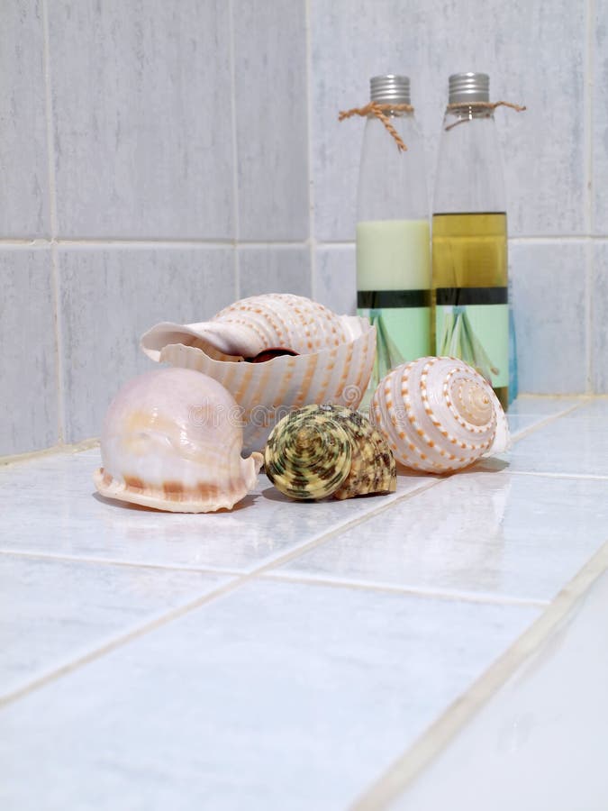 Seashells Avec Le Positionnement De Station Thermale Photo stock ...