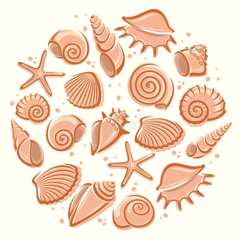 Seashells set. Vector stock vector. Illustration of scallop - 32516432