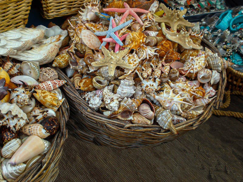 Seashell Pattern Counter Stool Blue Stock Photos - Free & Royalty-Free ...